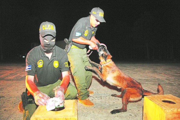 Fiscal general anuncia que la DLCN será reestructurada