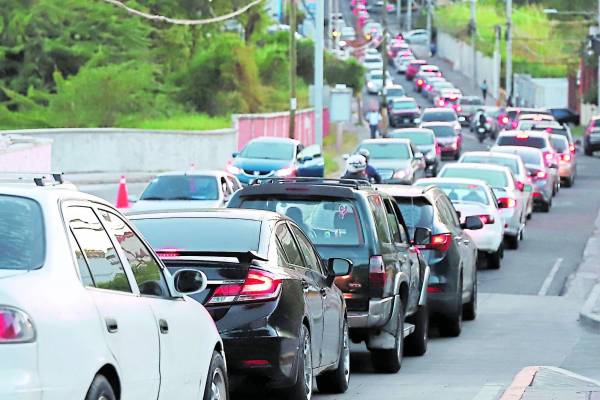 Pasos para validar información de la matrícula vehicular en Honduras