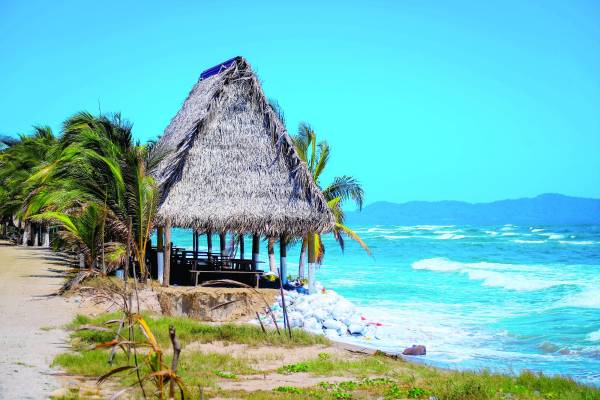 Entre mayo y julio se revertirá daño del mar a la playa de Miami en Tela