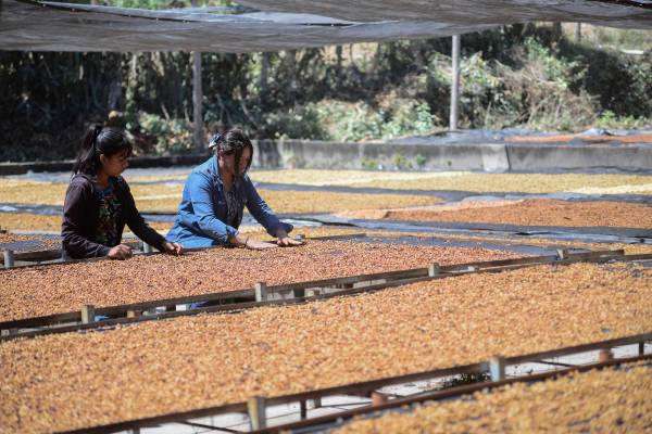 18 Conejo, una familia pionera en la agricultura biodinámica