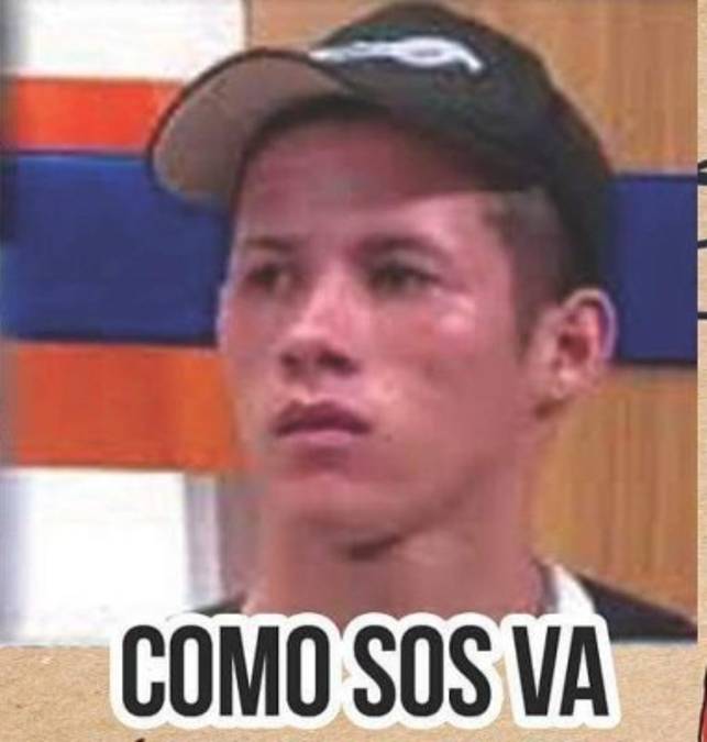 Los mejores memes de 2018: Vaca intelectual, Lady frijoles, Miss España ...