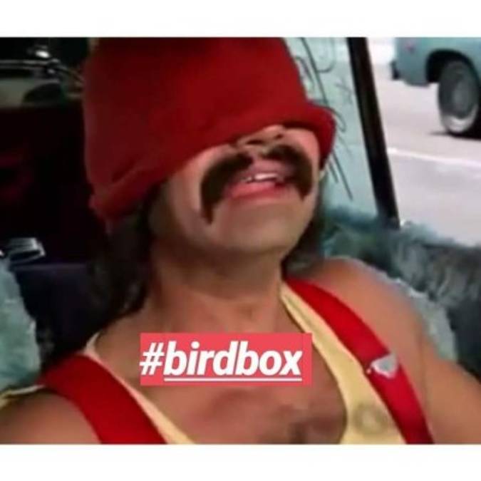 Los memes más divertidos de Bird Box, la película de Netflix