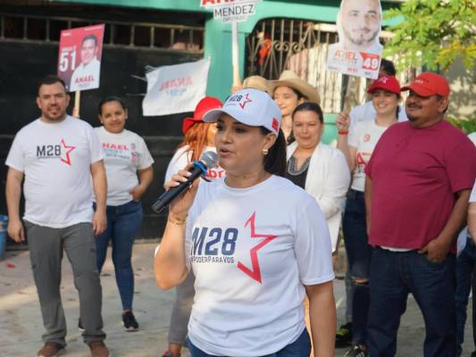 14 precandidatos se disputan las candidaturas a la alcaldía de La Ceiba