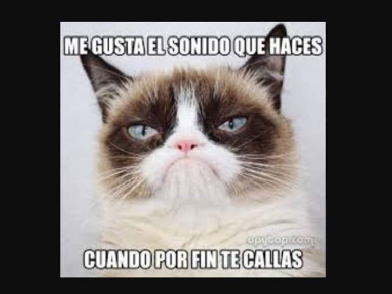 RIP Grumpy Cat: recordamos la 'gata gruñona' con sus mejores memes ...