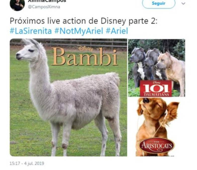 Las reacciones por la elección de Halle Bailey como la nueva Ariel en ...