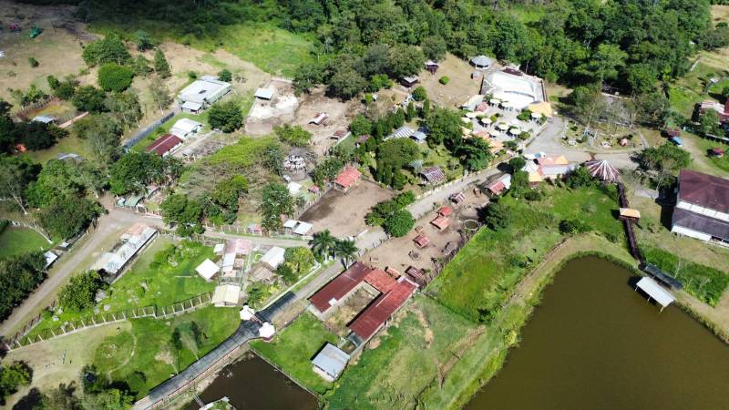 Unas 500 especies le esperan en reapertura de Joya Grande