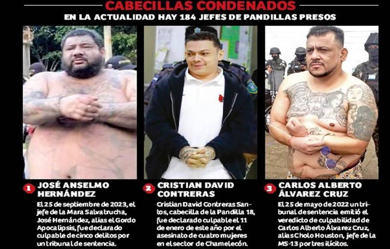 Pandillas: 40,000 miembros y acción en siete regiones de Honduras