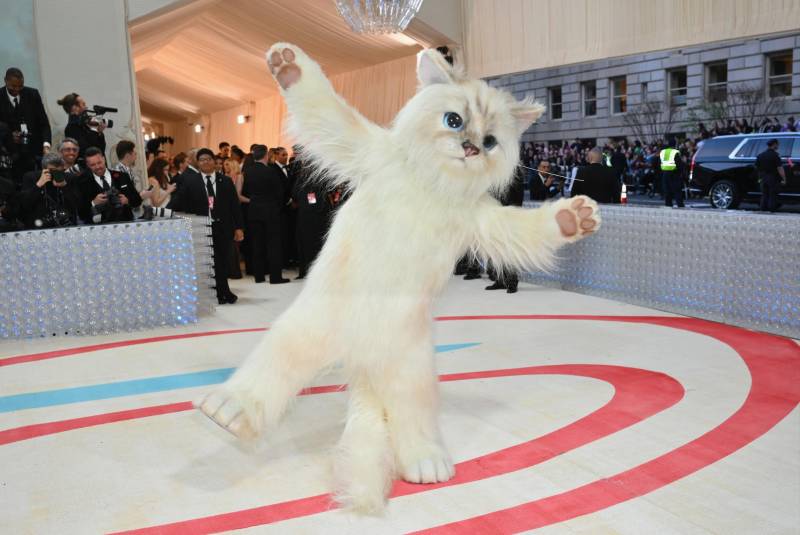 Jared Leto causó sensación con su disfraz de gato en la Met Gala
