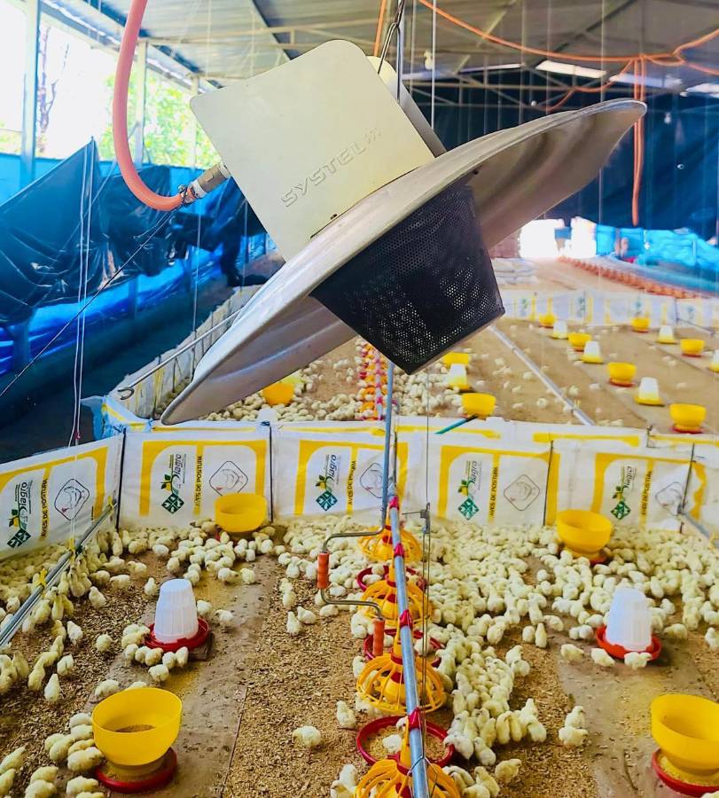 Inversiones Diagro lidera el mercado nacional en la producción, comercialización y distribución ...