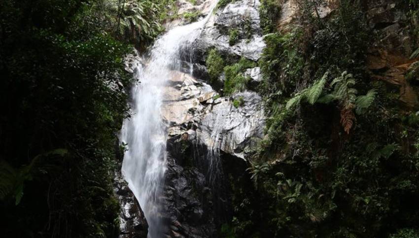 El Cusuco, un paradisiaco lugar en las faldas de El Merendón - Diario ...