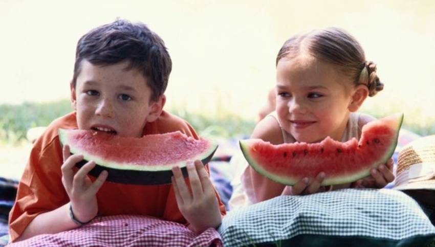 Sacie su sed consumiendo la rica sandía