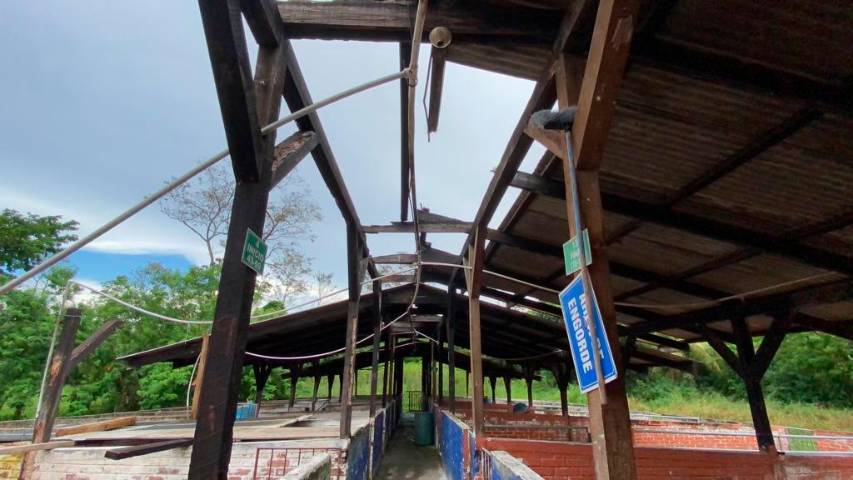 L1.6 millones ha gastado en viáticos la comisión que dirige el Curla