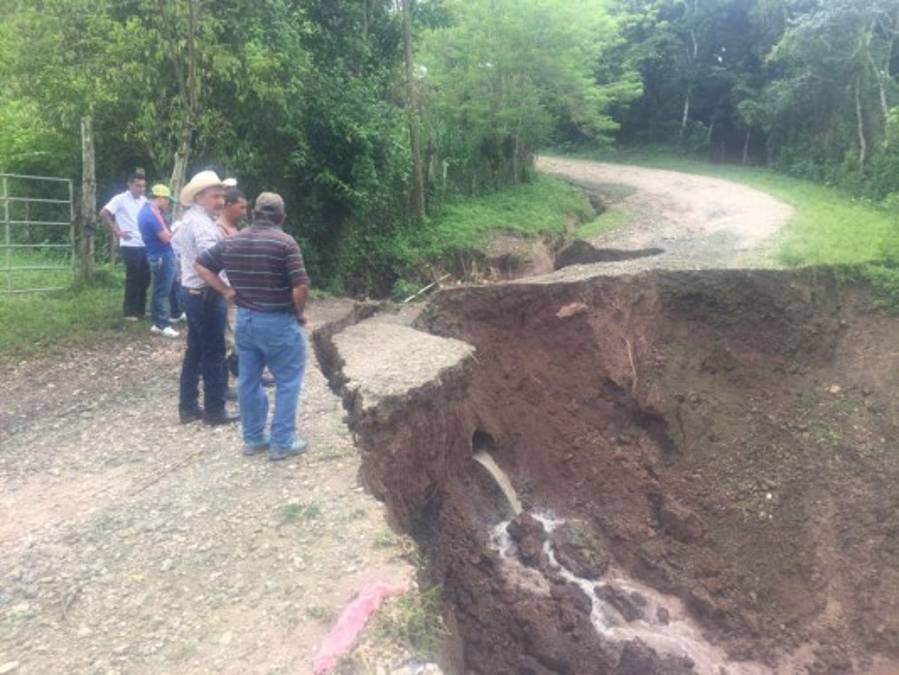 Chamelecón y Ulúa amenzan el noroccidente de Honduras