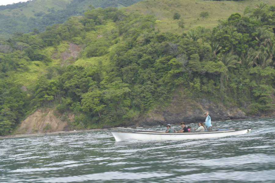 Quinito, un escondido paraíso en Colón, donde el verde del bosque se ...