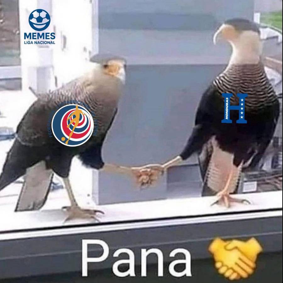 Memes a Honduras y Costa Rica tras quedarse sin ir al Mundial