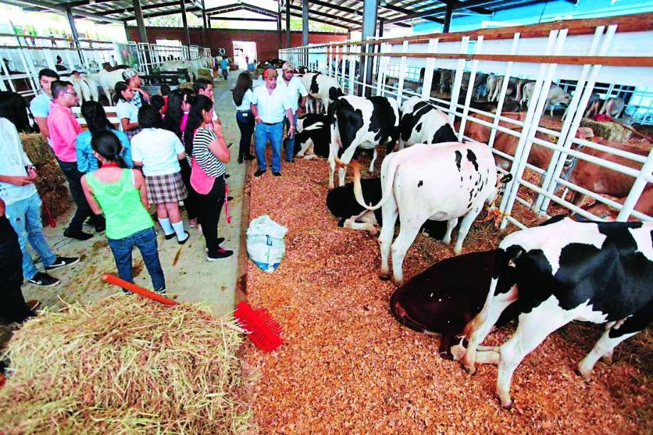 Expocentro y Agas están listos para la Feria Juniana de SPS