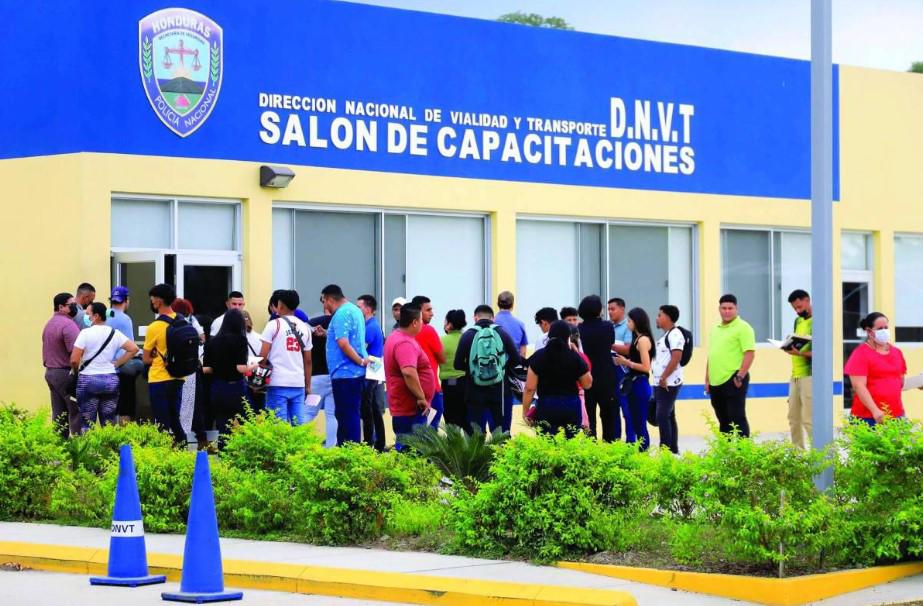 Al menos 50 mil licencias digitales ha entregado la DNVT