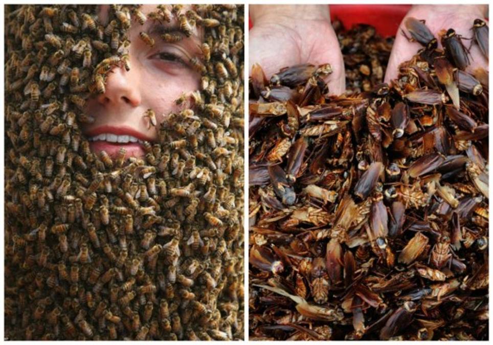 10 parafilias extrañas