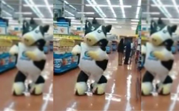 La vaca bailarina que enloquece las redes - Diario La Prensa